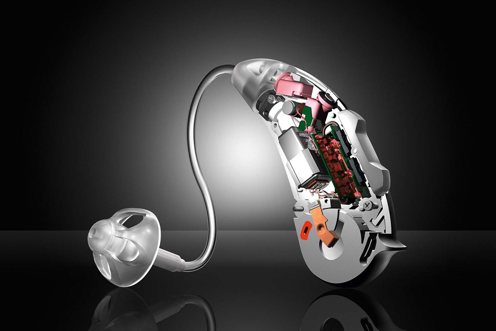 The ear - how do we hear? | Rexton